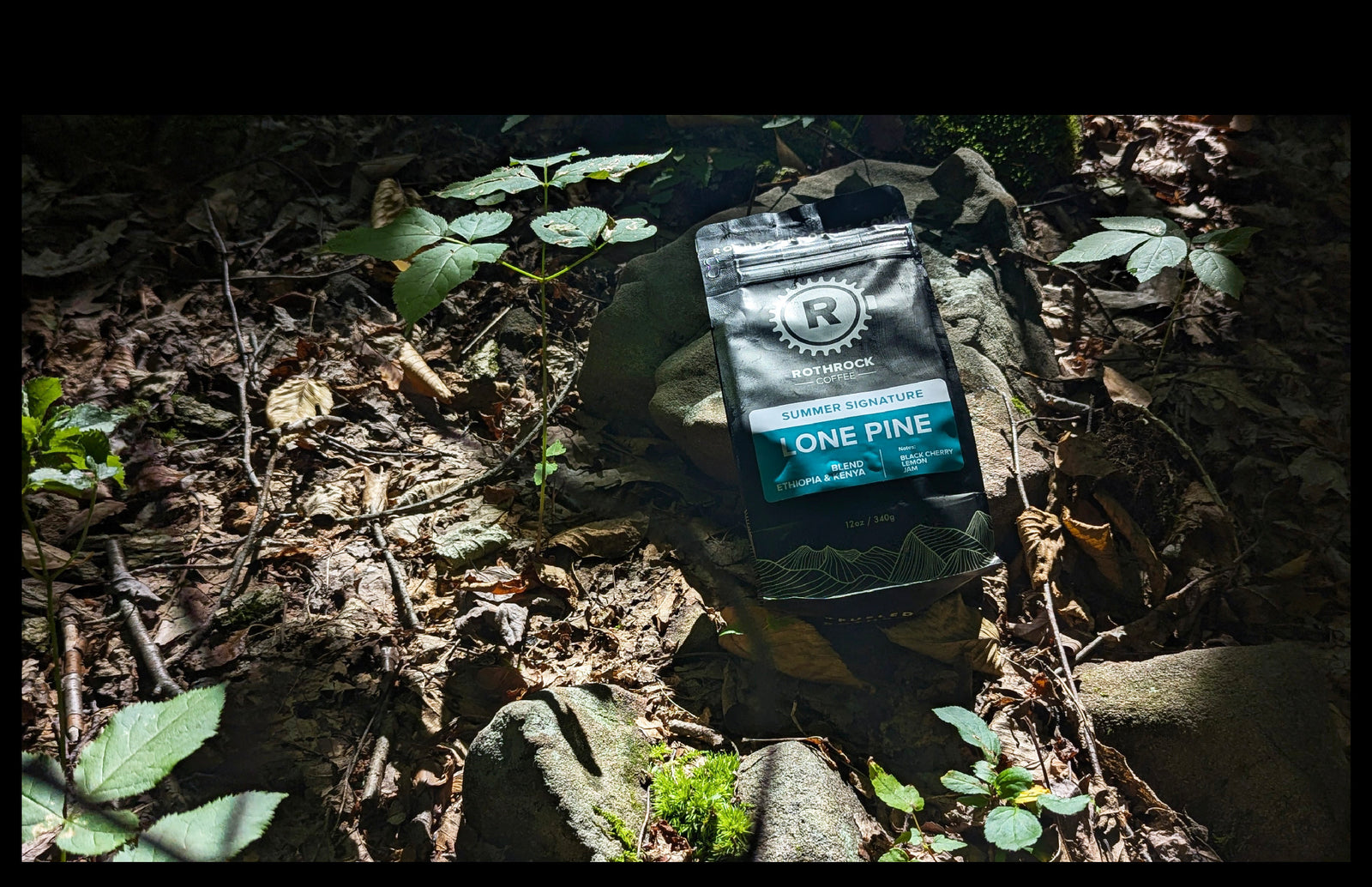 Rothrock Coffee – Rothrock Coffee